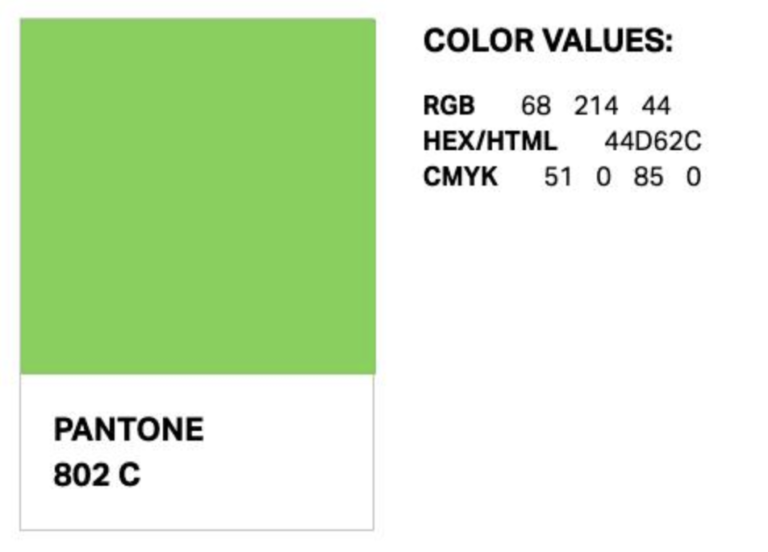 Brand Guidelines – Orchid Insurance